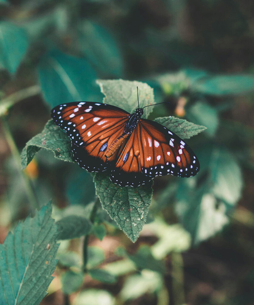 The Power of Belief: How Defining Your Church’s Core Conviction Transforms Everything | BLVR®